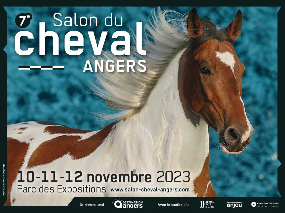 Salon du cheval d'Angers - MONDIAL DU LION