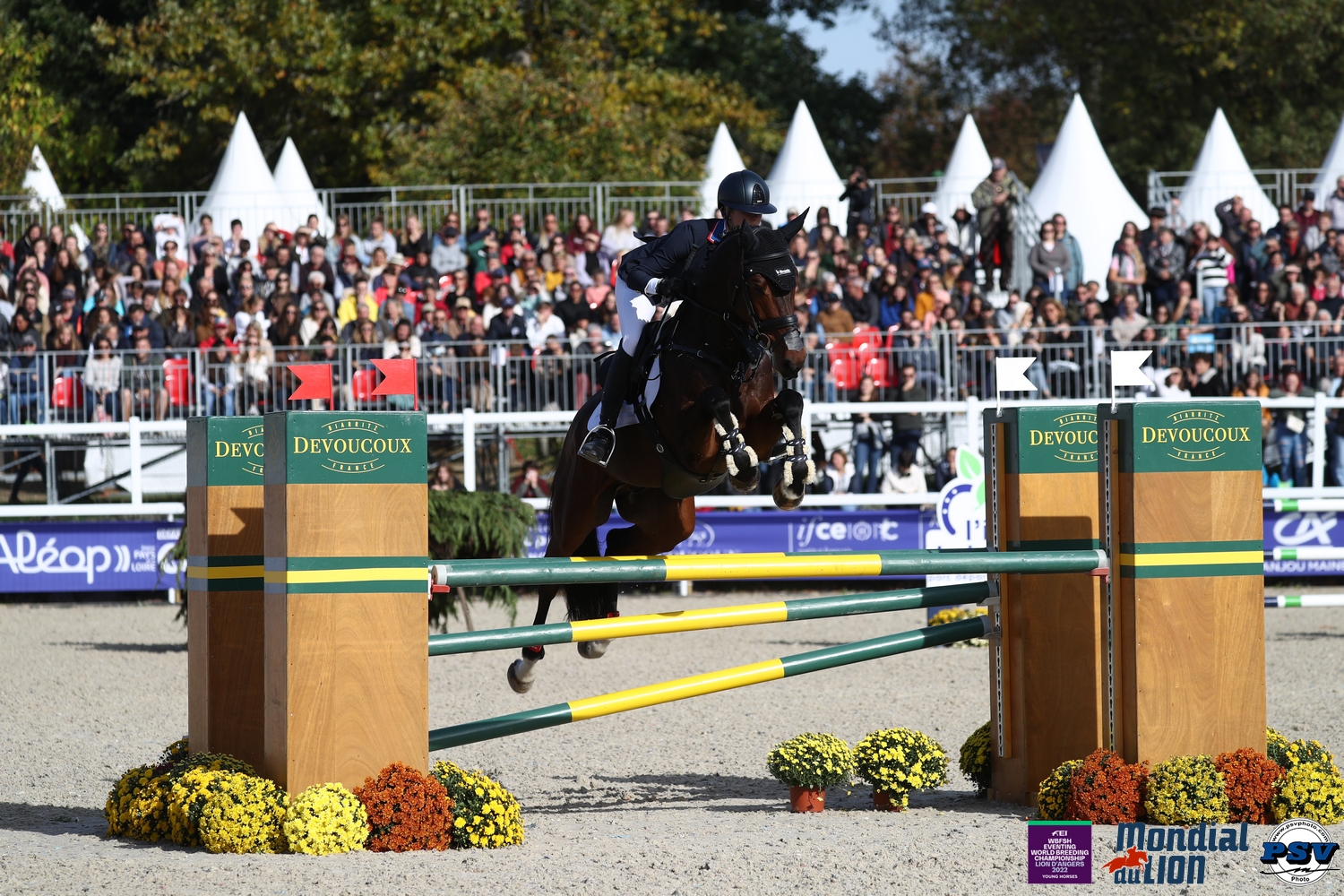 Nouveauté CSO 2024 - MONDIAL DU LION